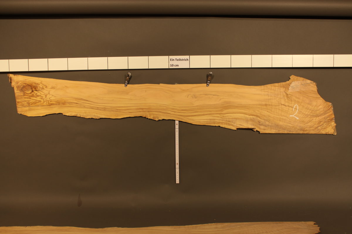 Olivenholz-Furnier 2 Mm (155 X 20 Cm) - Furnier-Manufaktur