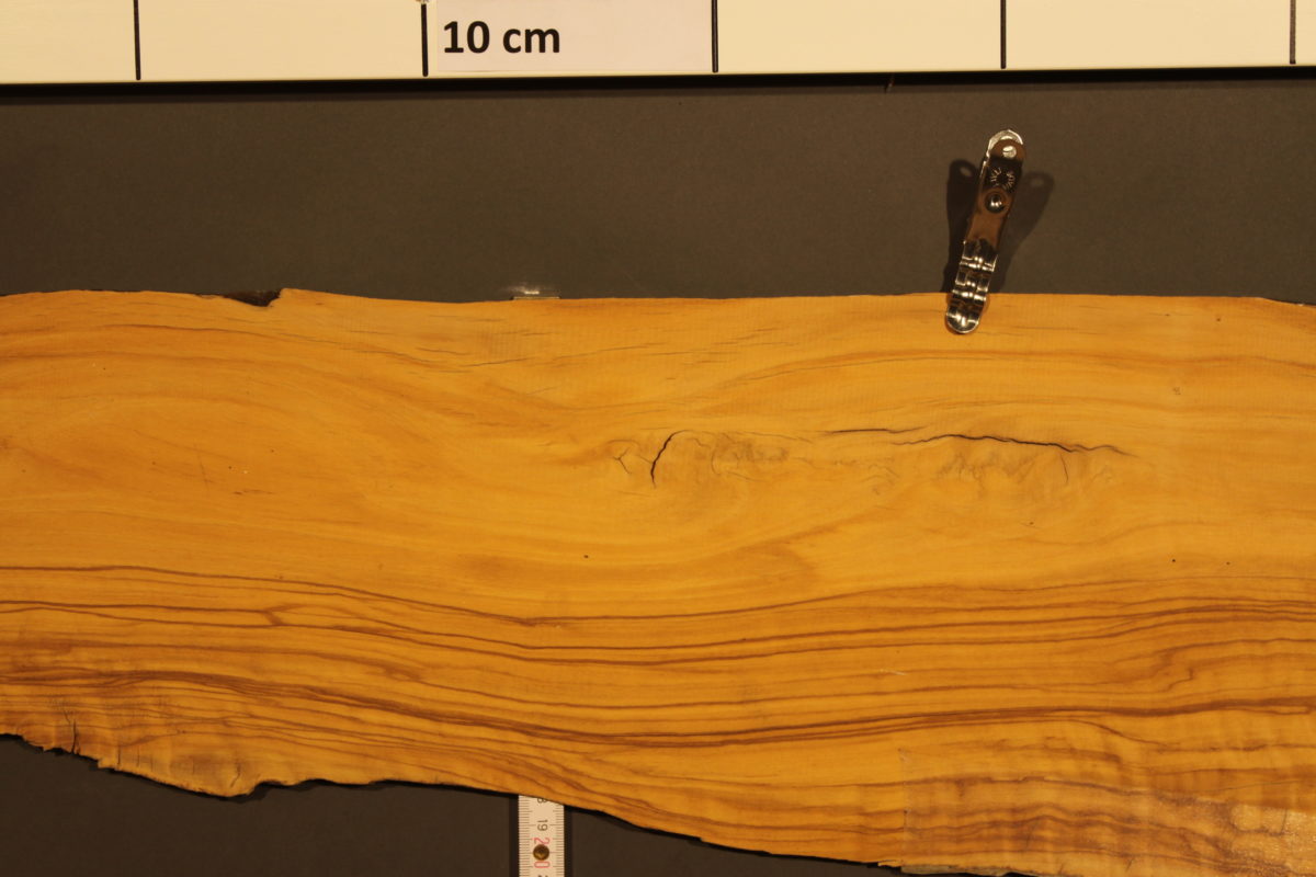 Olivenholz-Furnier 2 Mm (155 X 20 Cm) - Furnier-Manufaktur